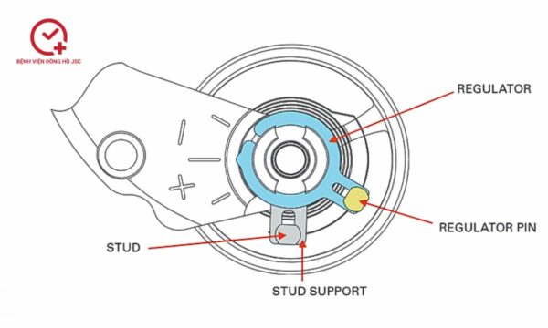 Etachron là gì? Công dụng của Etachron trong đồng hồ
