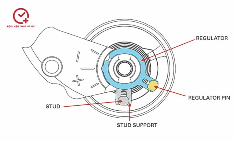 Etachron là gì? Công dụng của Etachron trong đồng hồ